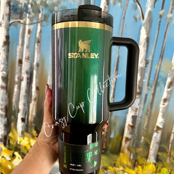 Stanley | Dining | Stanley Wicked Elphaba 4oz | Poshmark